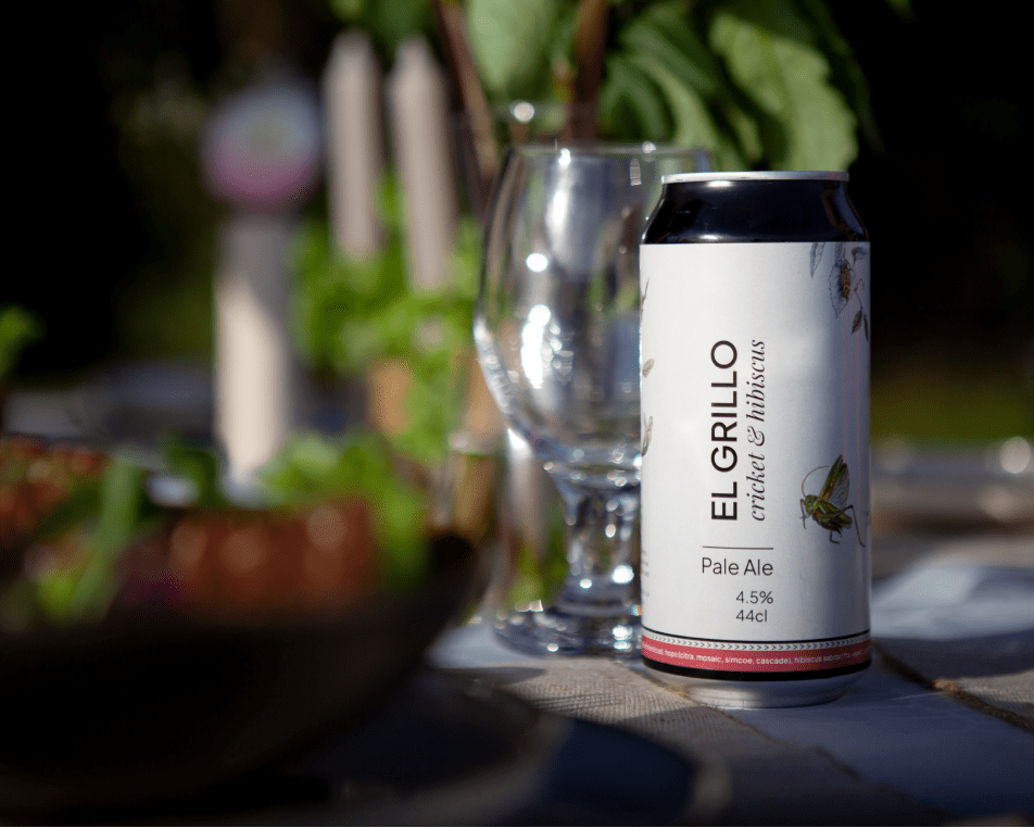 Homepage - El Grillo